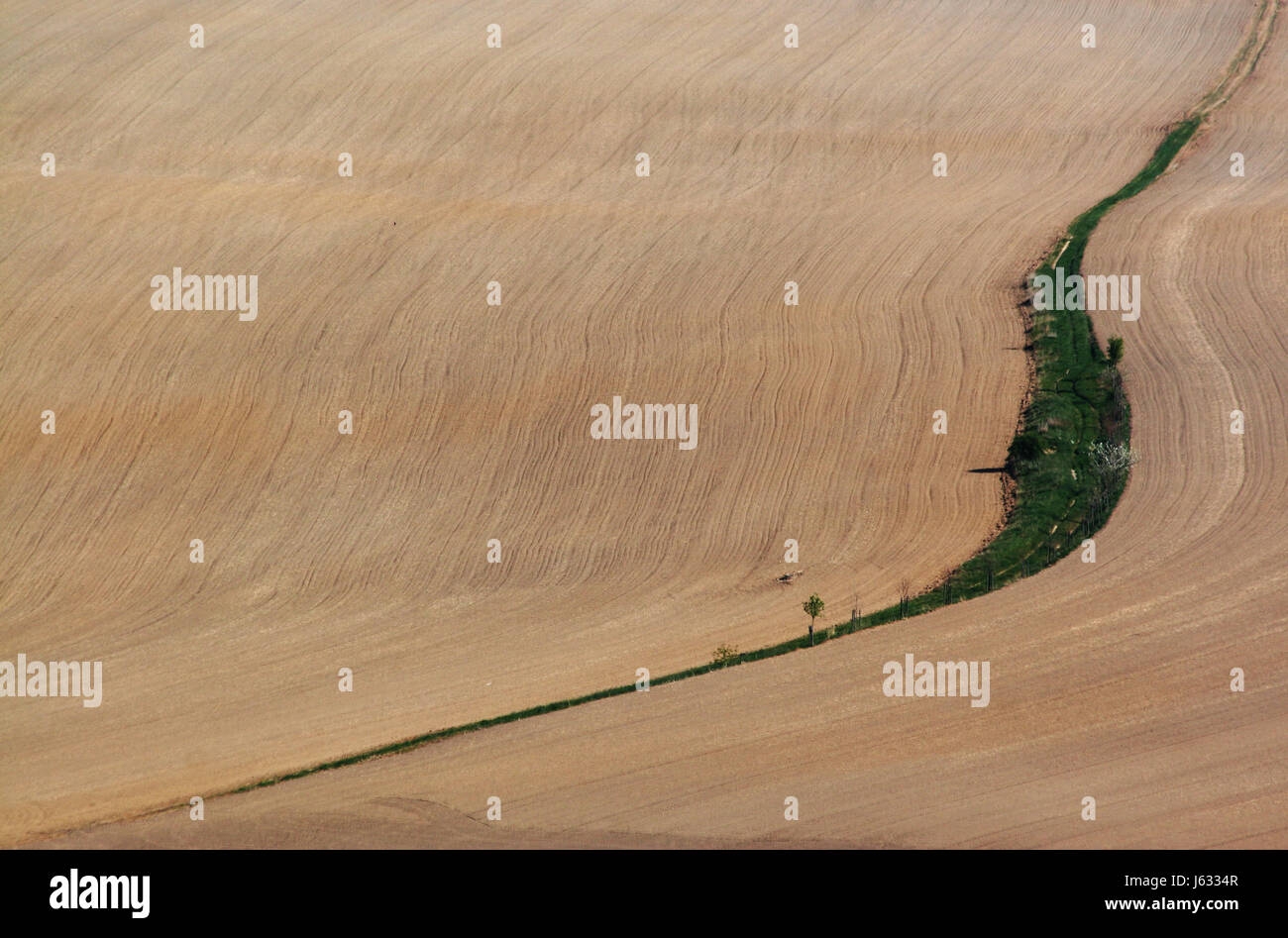 field diagonal border delimitation line aerial perspective tree plant ...