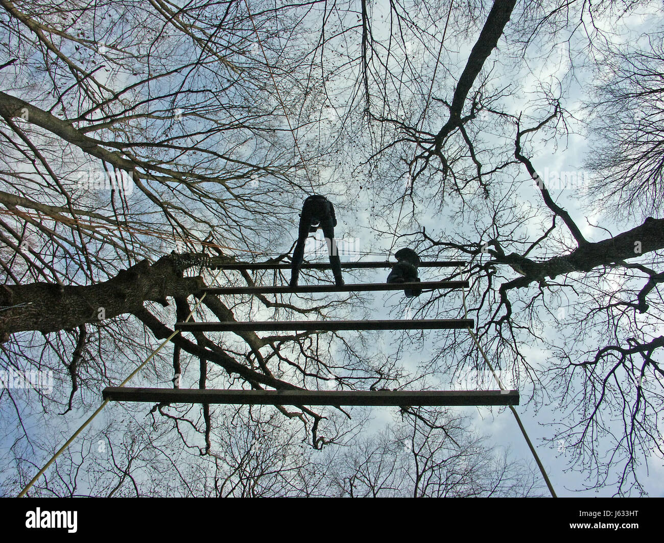 tree trees rise climb climbing ascend uphill tread clamber woman humans ...