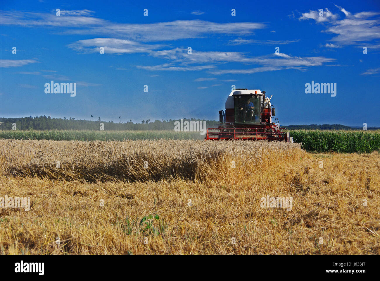 agriculture farming field corn field combine harvester reap harvest ...