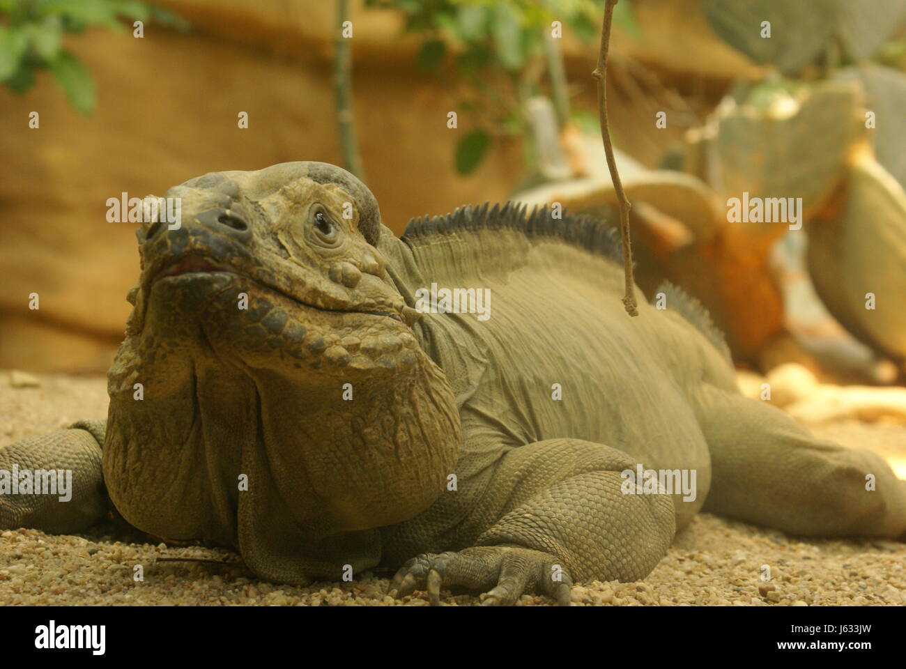 Hideous hi-res stock photography and images - Alamy