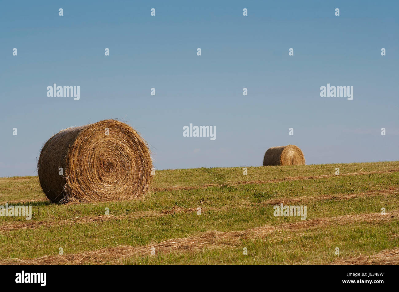 field summer summerly harvest hay meadow pictogram symbol pictograph ...