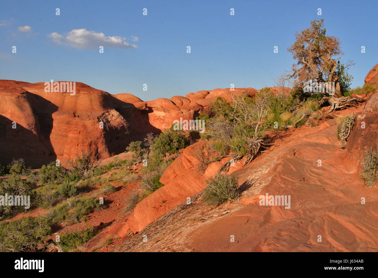 usa america mountains desert wasteland national park usa rock america ...