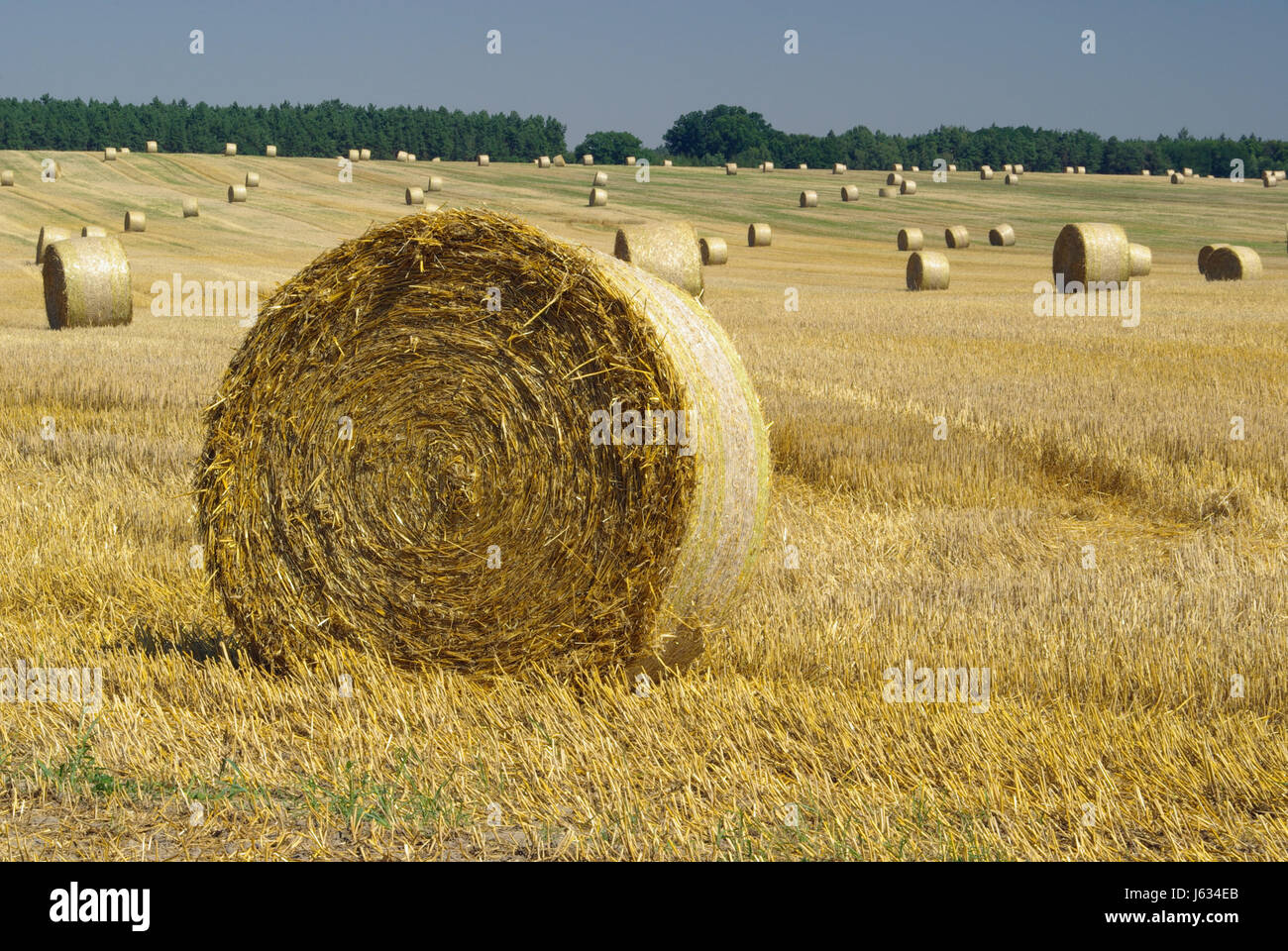 straw bales - bale of straw 11 Stock Photo - Alamy