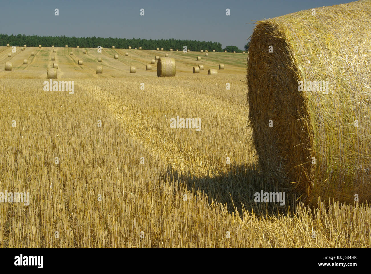 field grain corn field straw ball grain field straw meadow grass lawn ...