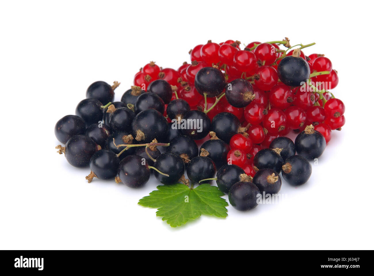 optional fruit berry currant optional green black swarthy jetblack deep ...
