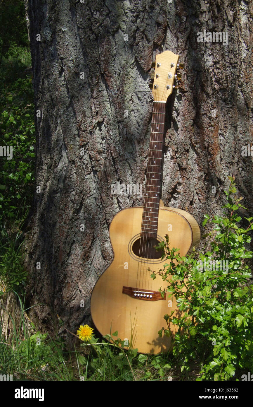 Stringed instrument hi-res stock photography and images - Alamy