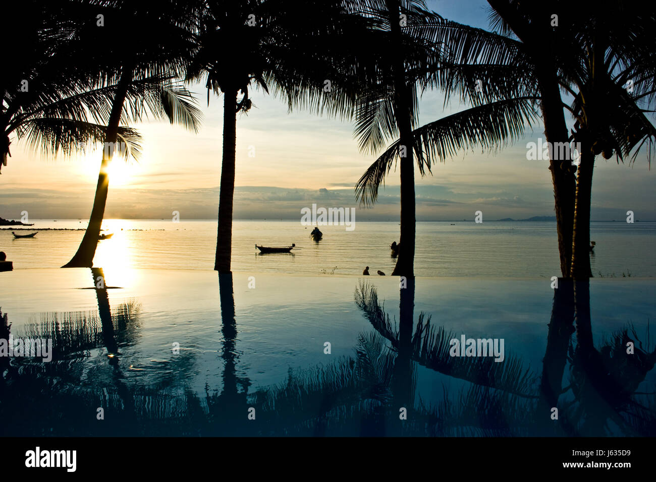 beach seaside the beach seashore thailand palm tree coco pool salt ...