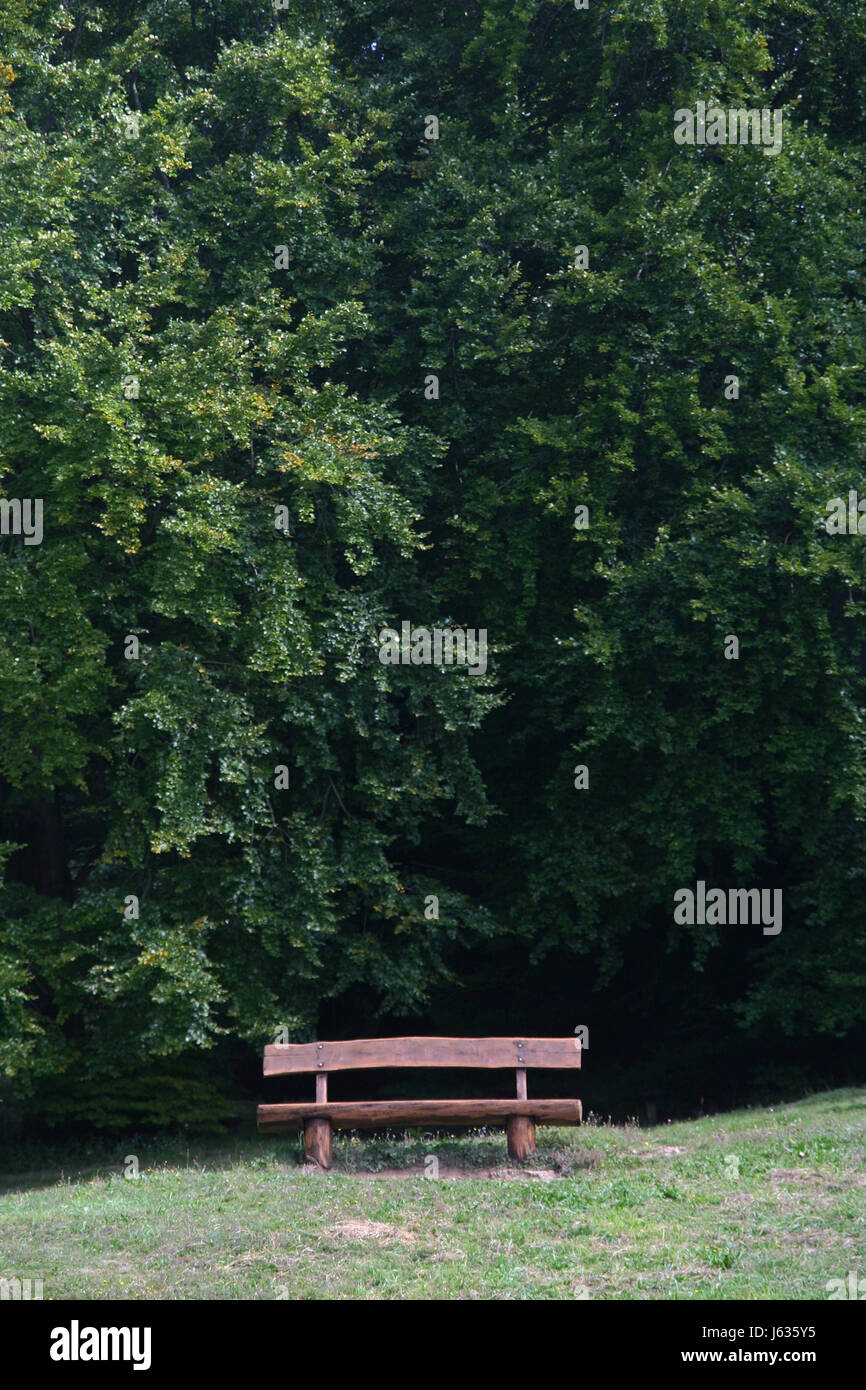 recuperation glade seat bench forest break rest pause hike go hiking ...