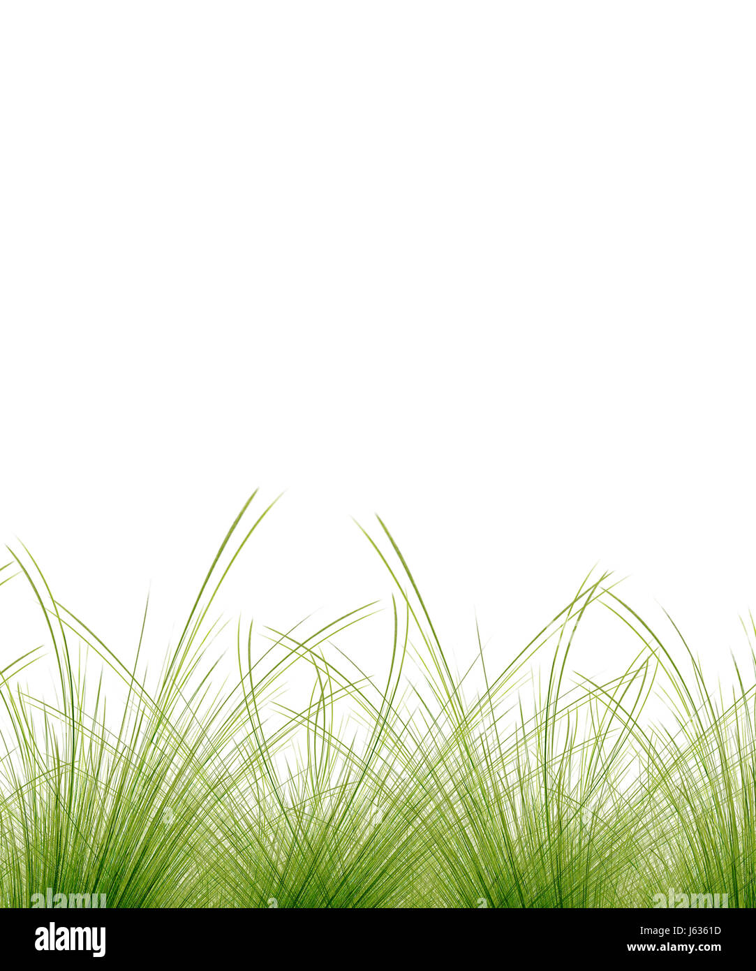 green spring meadow grass lawn backdrop background apart extra ...