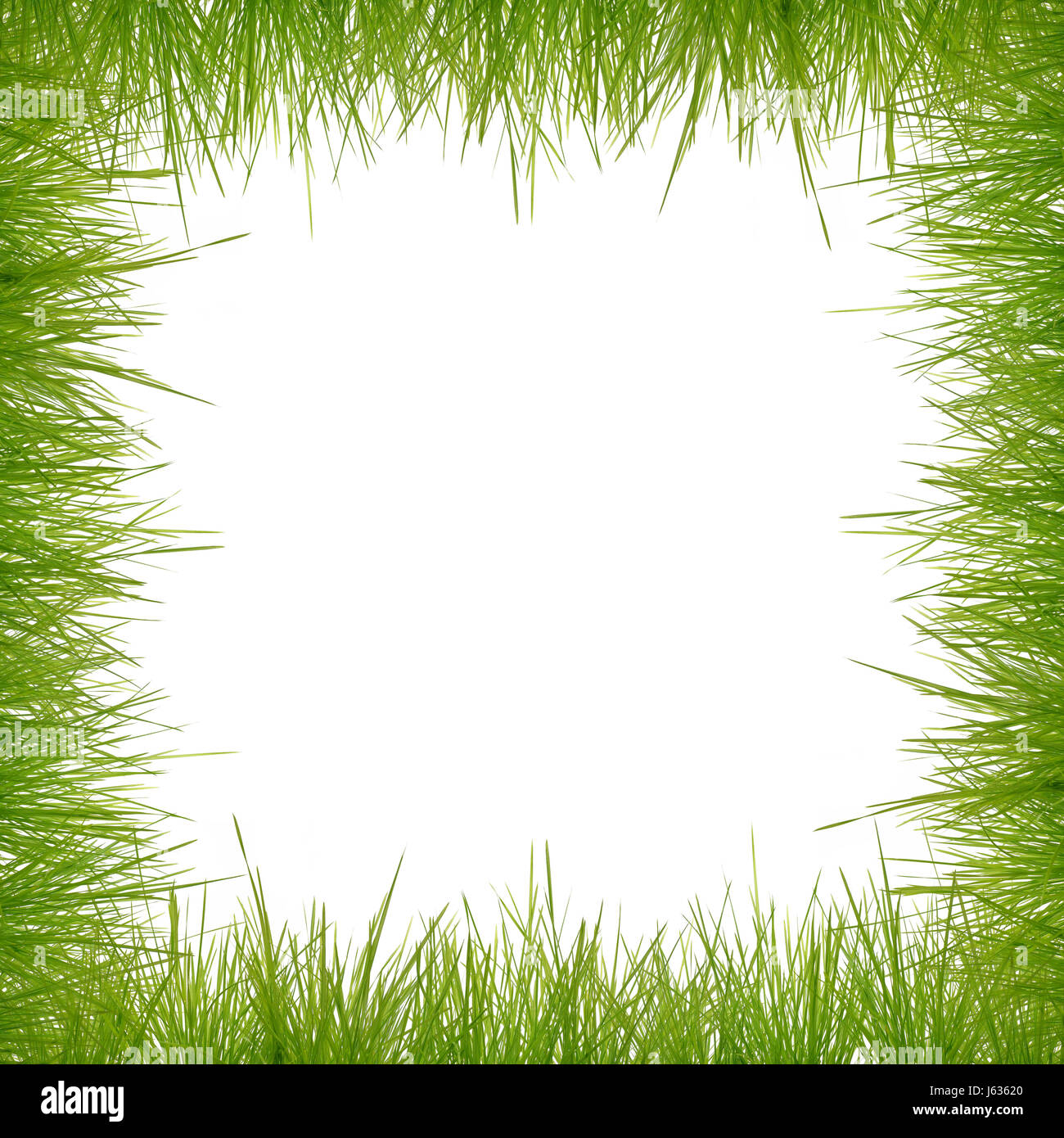 green meadow grass lawn backdrop background frame framework apart extra ...