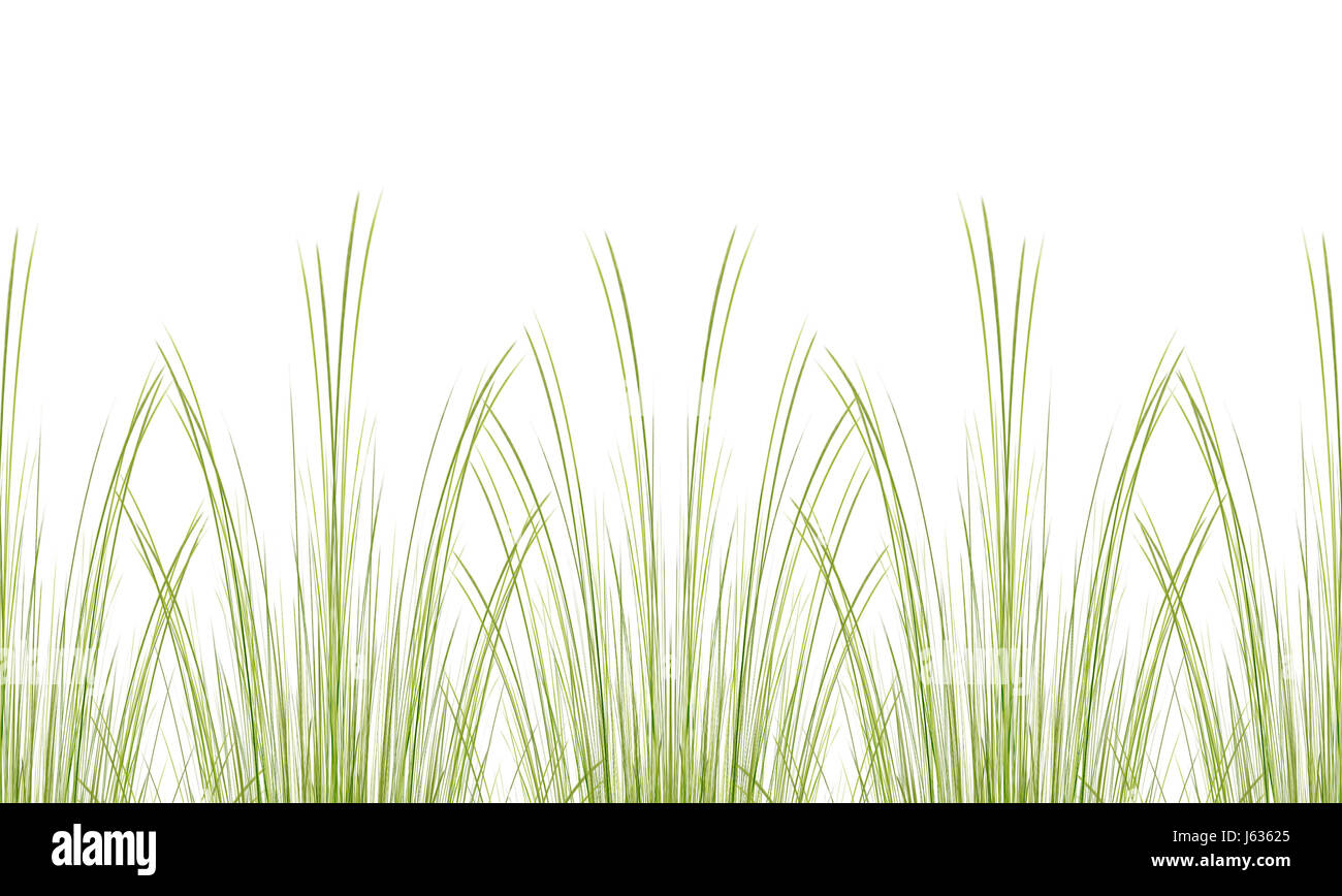 green meadow grass lawn backdrop background apart extra insulated plant ...