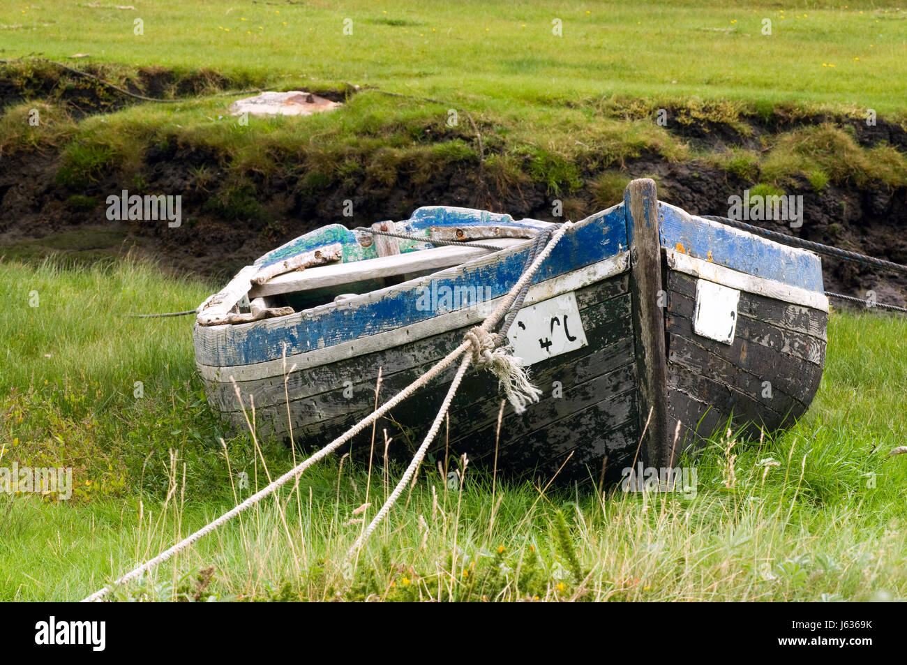 rowing boat ireland meadow scenery countryside nature grass lawn green ...