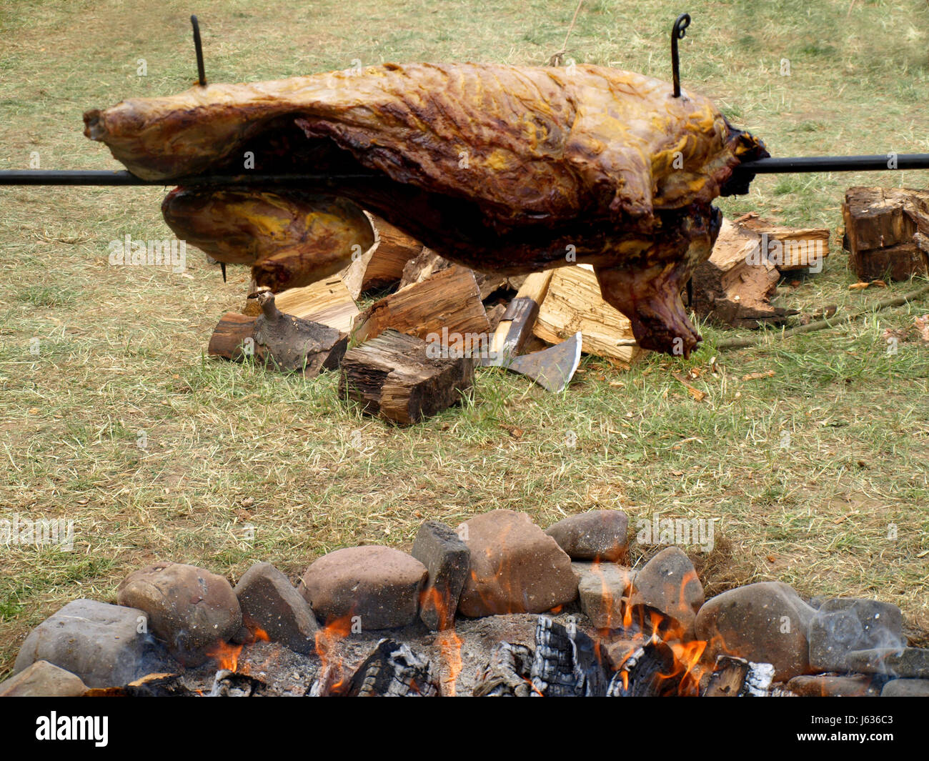 Wild boar stones hi-res stock photography and images - Alamy