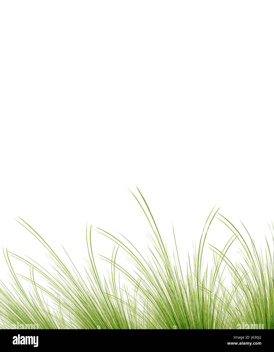 green spring meadow grass lawn backdrop background apart extra ...
