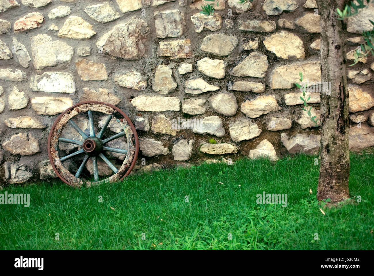 tree wheel wall cartwheel spokes meadow stones versed meadow grass lawn ...