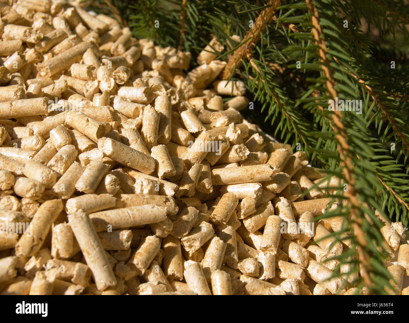 wood energy power electricity electric power alternative pellets pellet ...