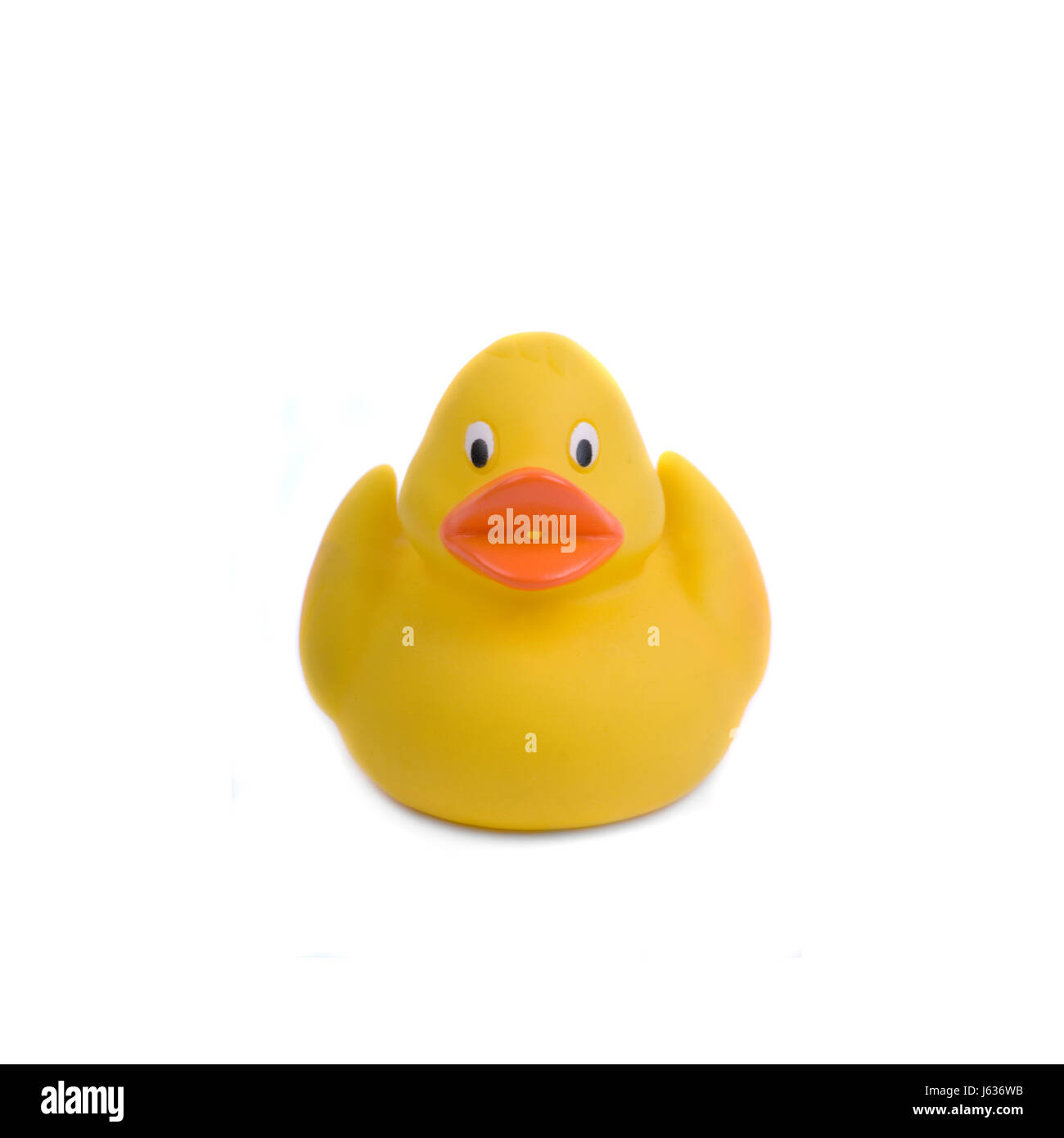 Duckling play hi-res stock photography and images - Alamy