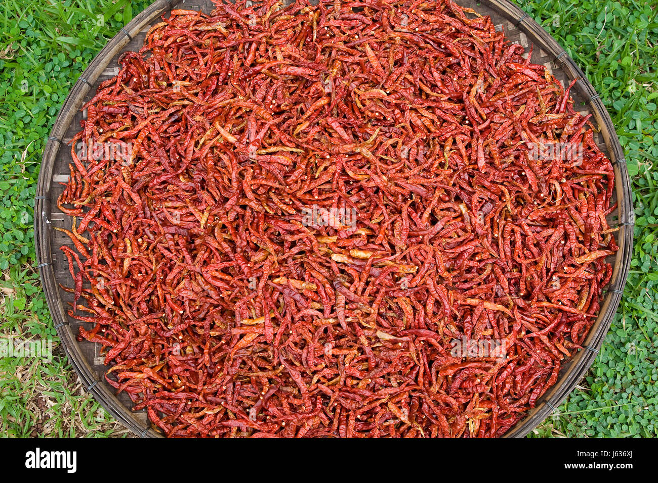 spice chilli chili spice asia asiatic kitchen cuisine fiery spicy ...