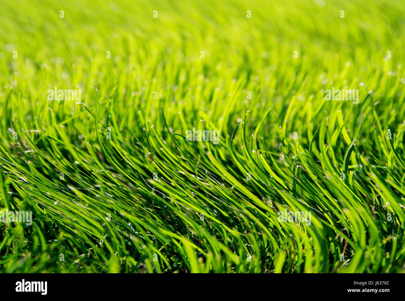 motion postponement moving movement green dynamics dynamism meadow ...