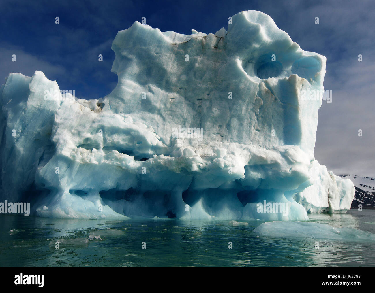 ice iceberg animal arctic crocodile face ice iceberg monster salt water ...