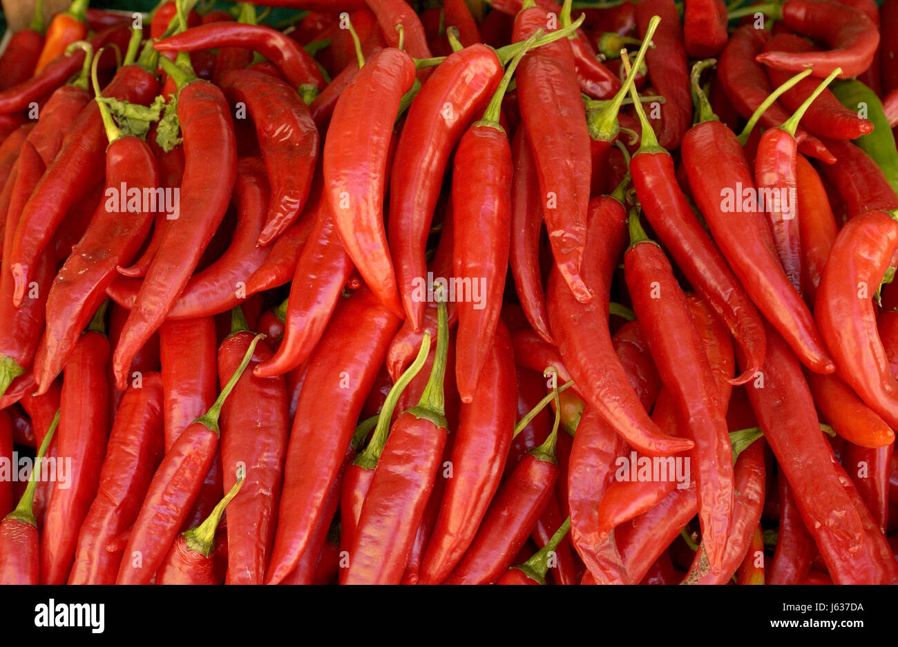 pepper vegetable chilli chili stall market pepper spice hot horizontal ...