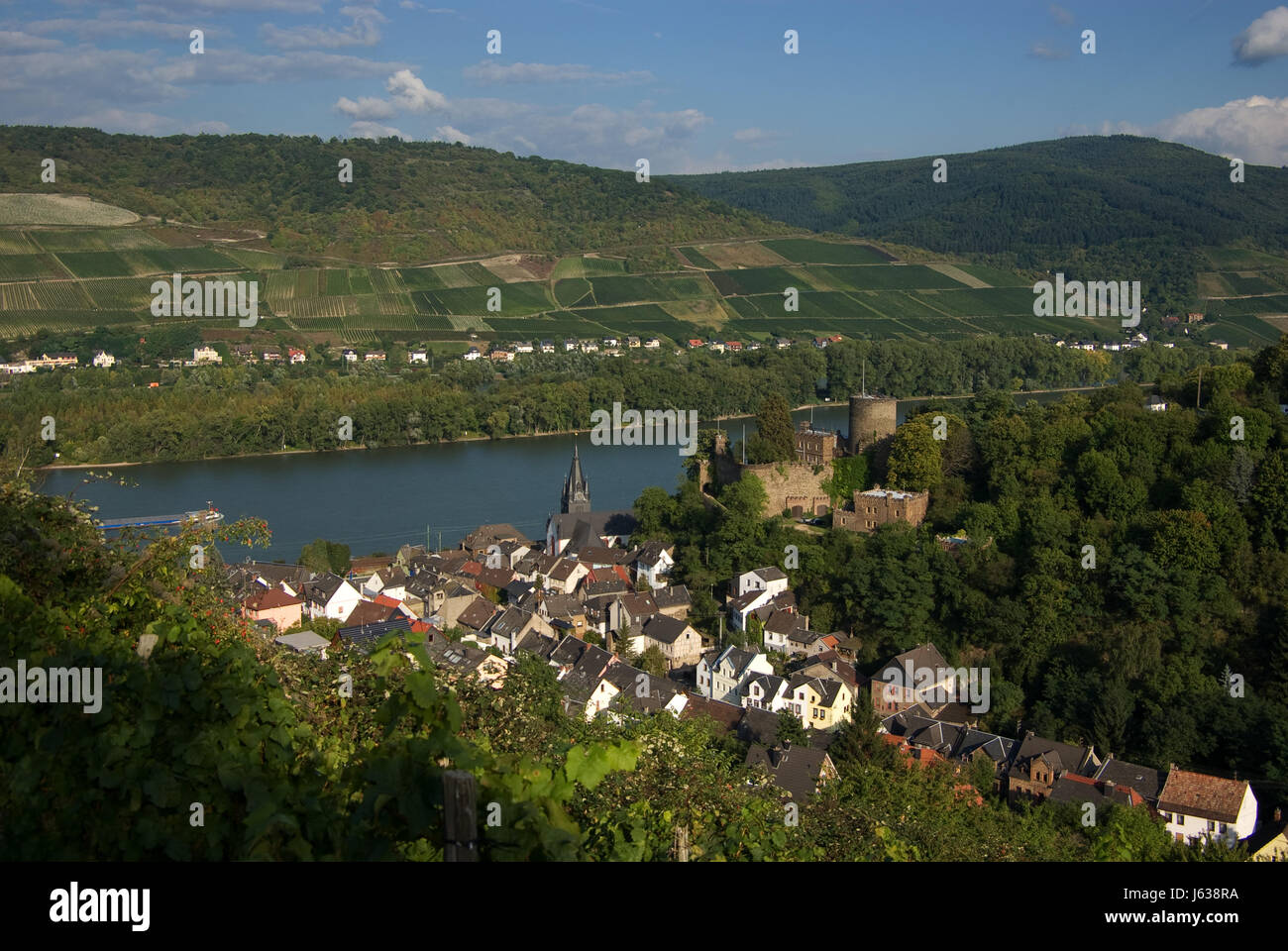 rhine world cultural heritage chateau castle rhine world cultural ...