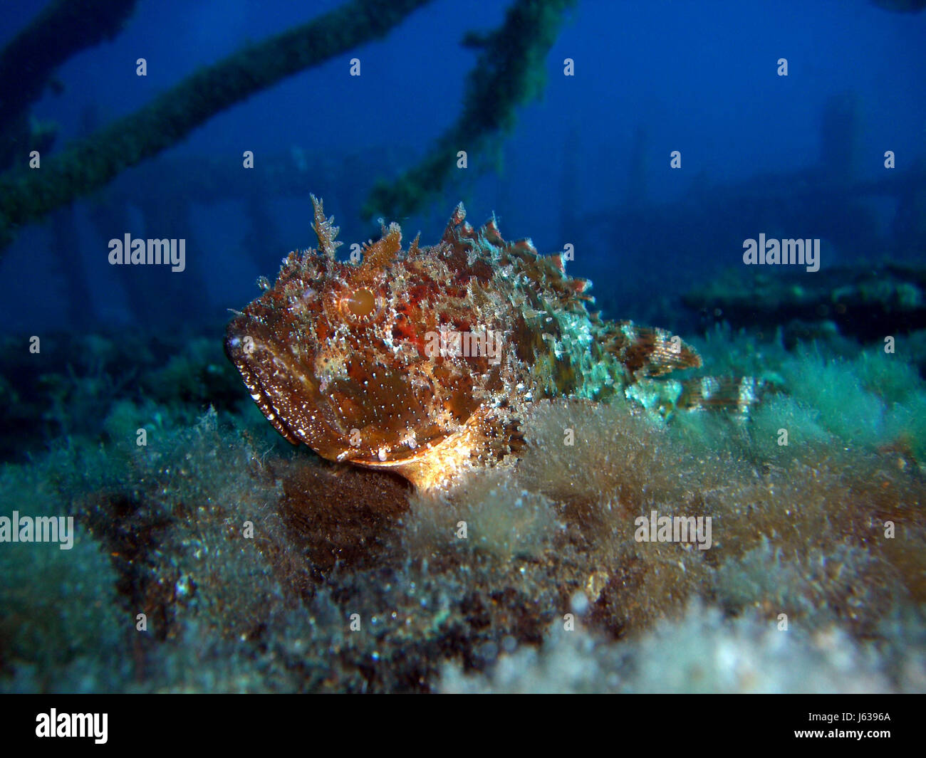 wreck danger water mediterranean salt water sea ocean underwater biotop ...