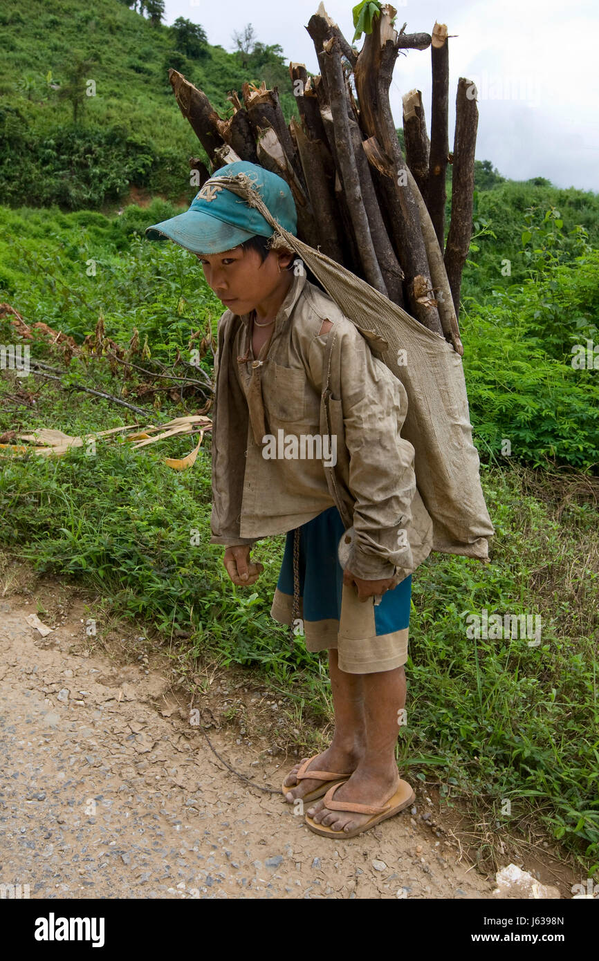 transport firewood child labour child wood asia transport heat firewood ...