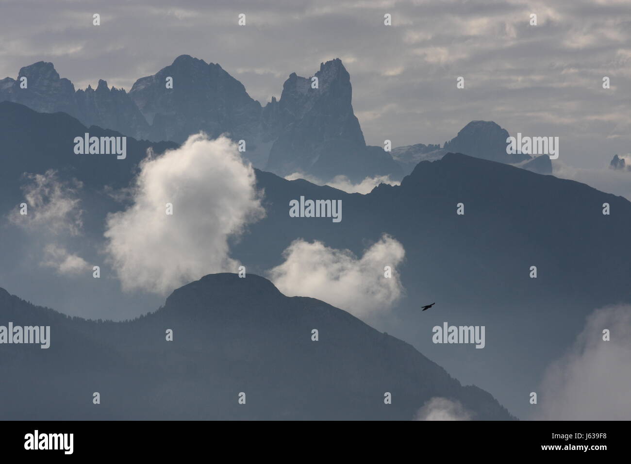 bird summit fog birds climax peak firmament sky mountain clouds air ...