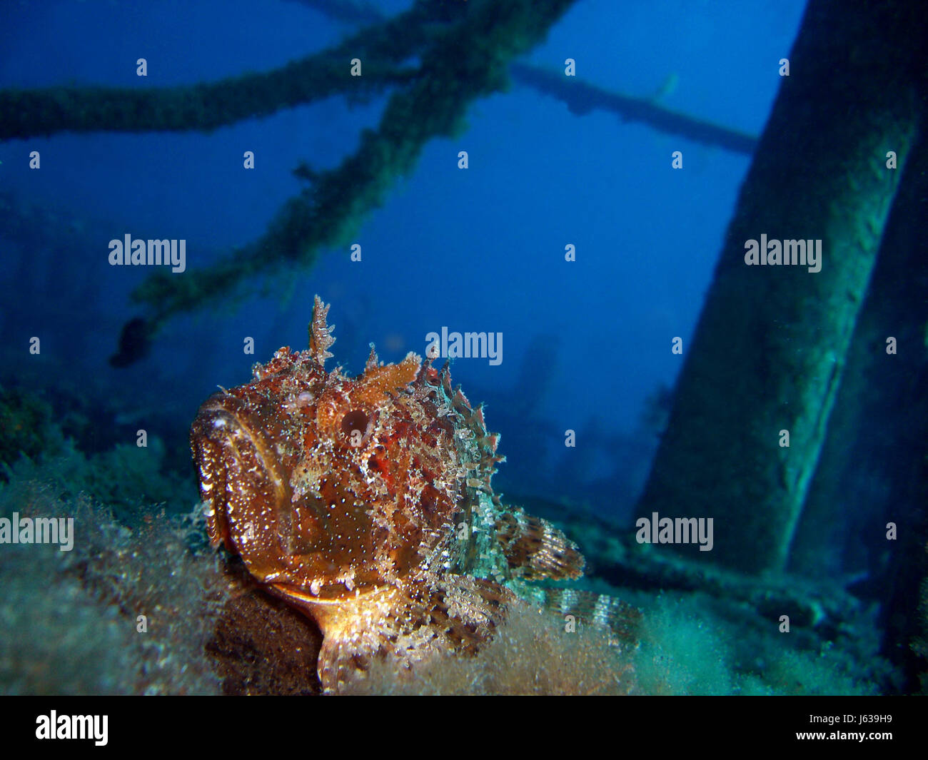 wreck danger water mediterranean salt water sea ocean underwater biotop ...