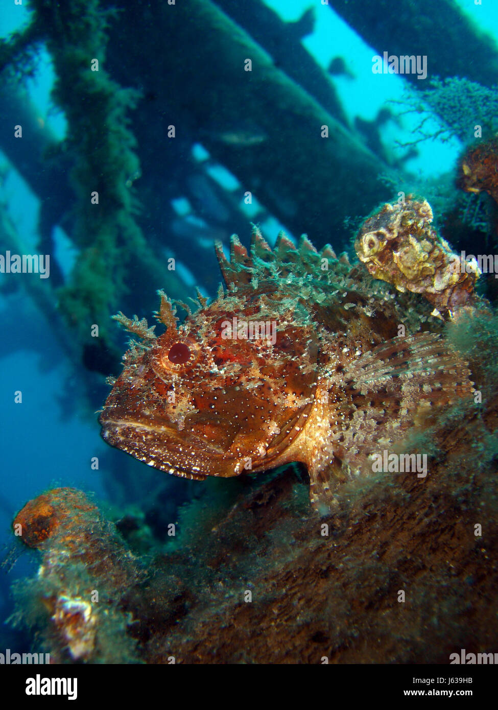 wreck danger water mediterranean salt water sea ocean underwater biotop ...