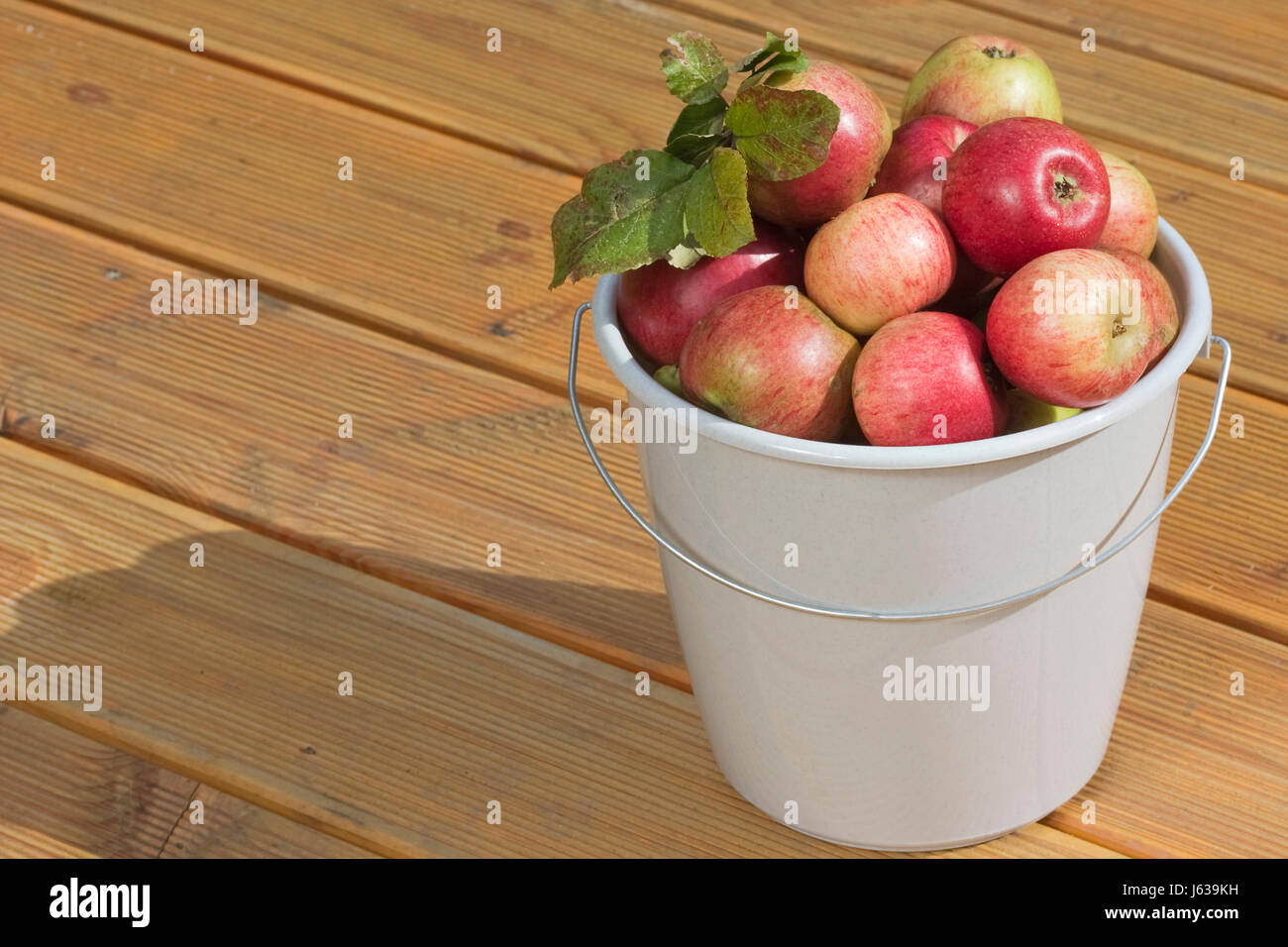 eco blank european caucasian sunlight bucket apples apple plastic ...