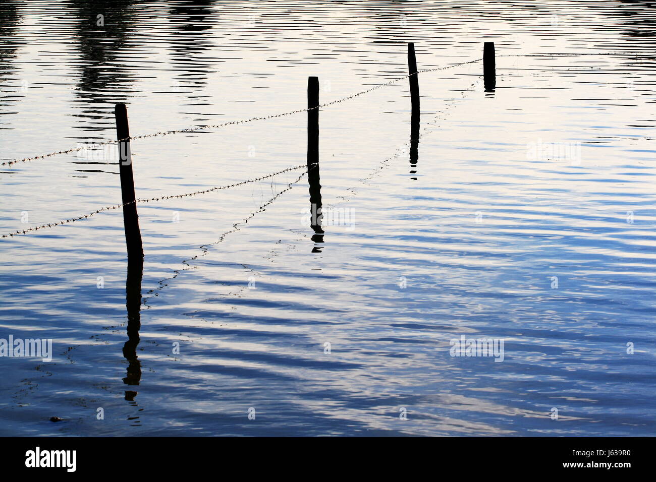 blue evening light barbed wire barbed-wire fence salt water sea ocean ...