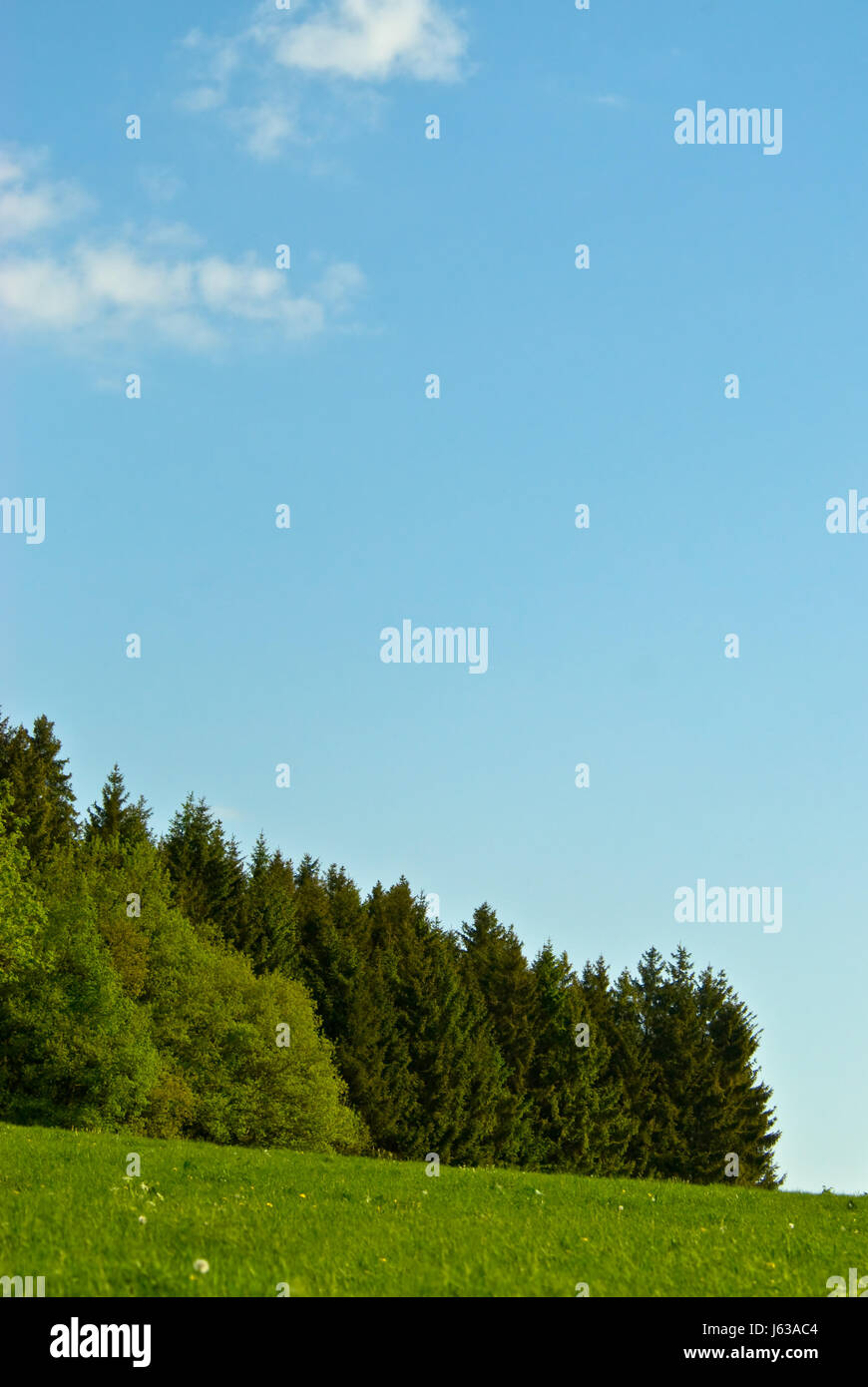 blue tree landscape scenery countryside nature firmament sky meadow ...