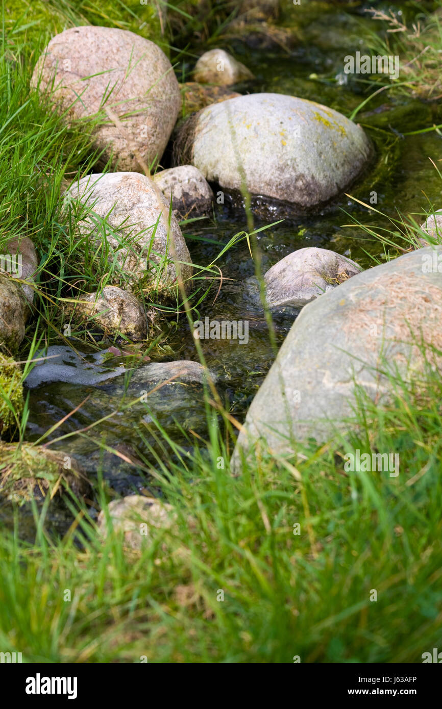 stone stream wet meadow grass lawn green water stones shine shines ...