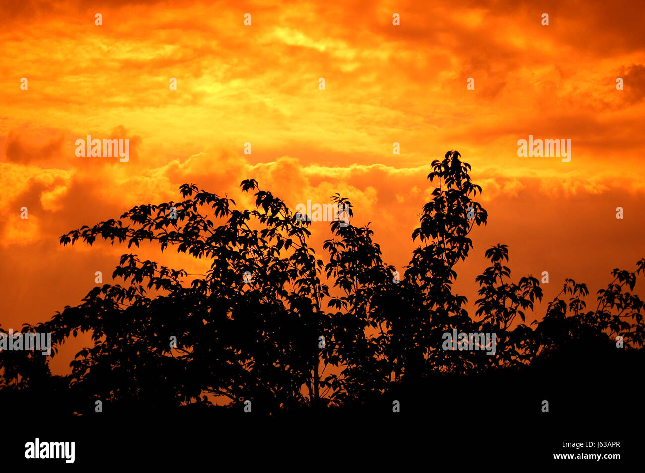 the sky burns Stock Photo - Alamy