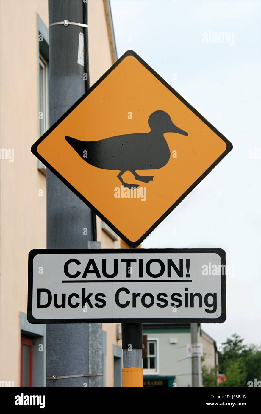 Duckburg hi-res stock photography and images - Alamy