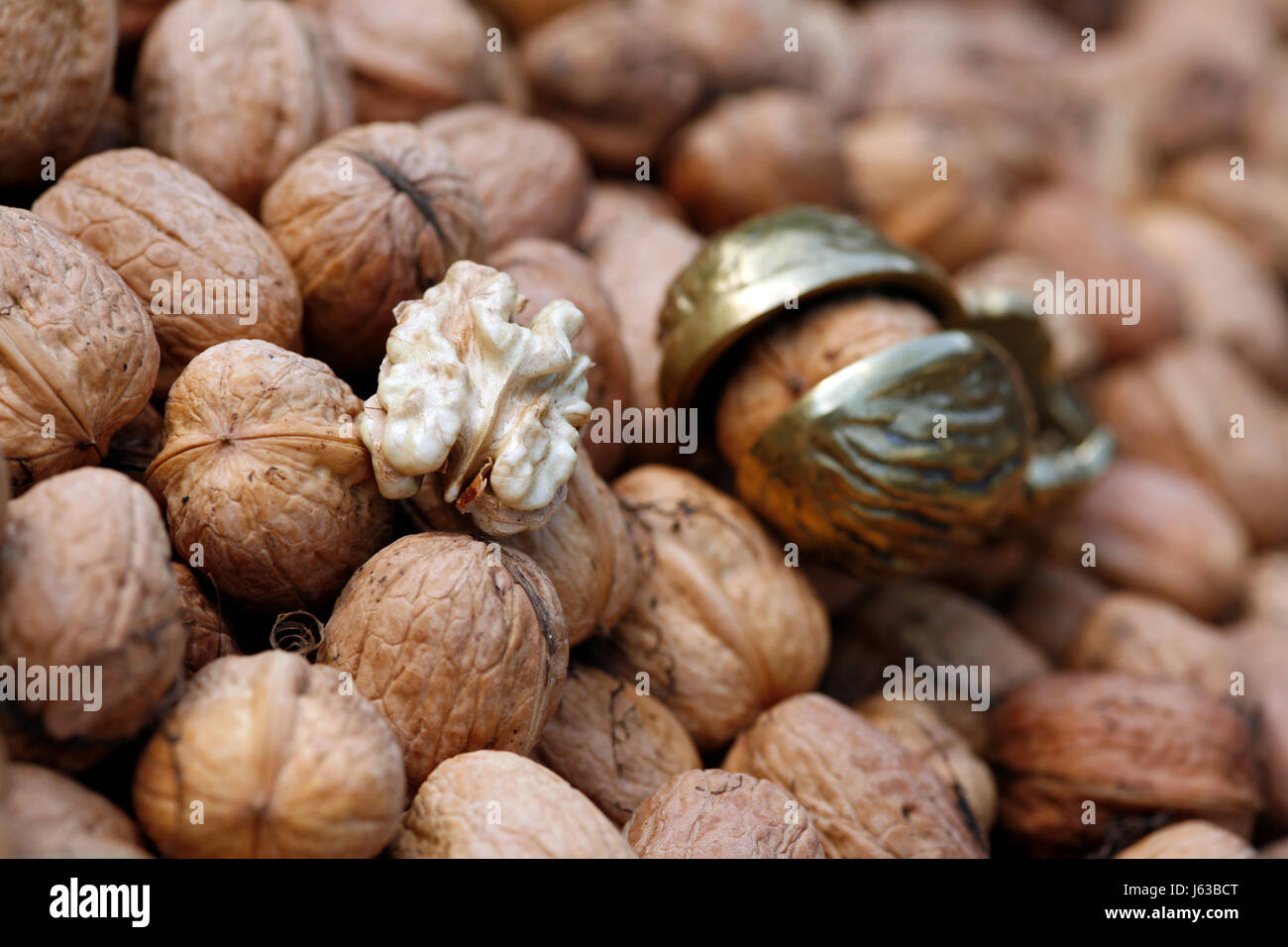 nuts nut walnut walnuts nutcracker fruit walnuts many harvest fall ...
