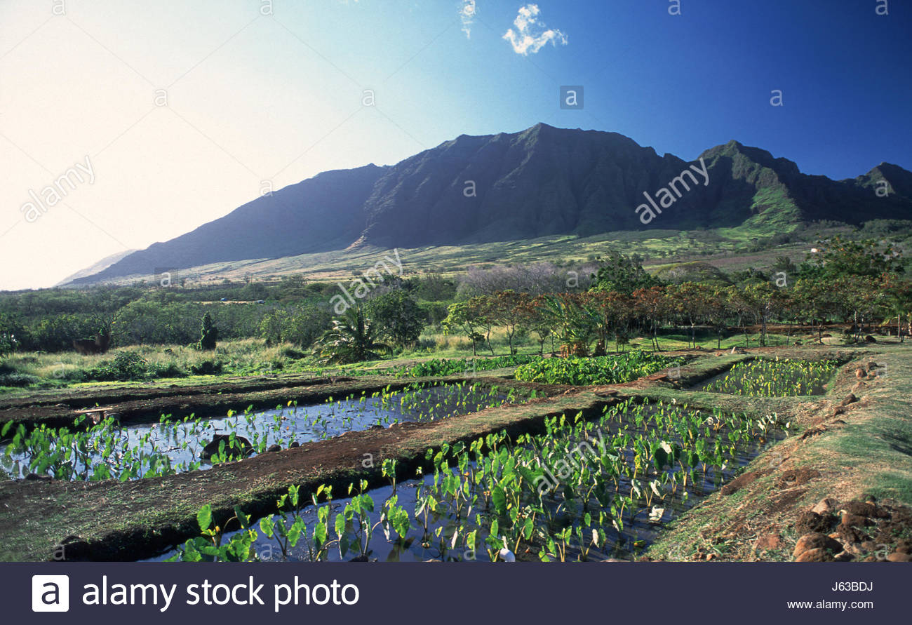 Waianae High Resolution Stock Photography and Images - Alamy