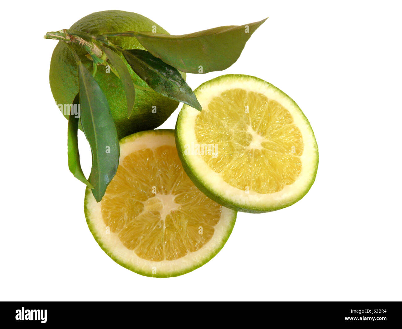 fruit citrous fruit lime lemon citron leaf vitamine green fruit disc ...