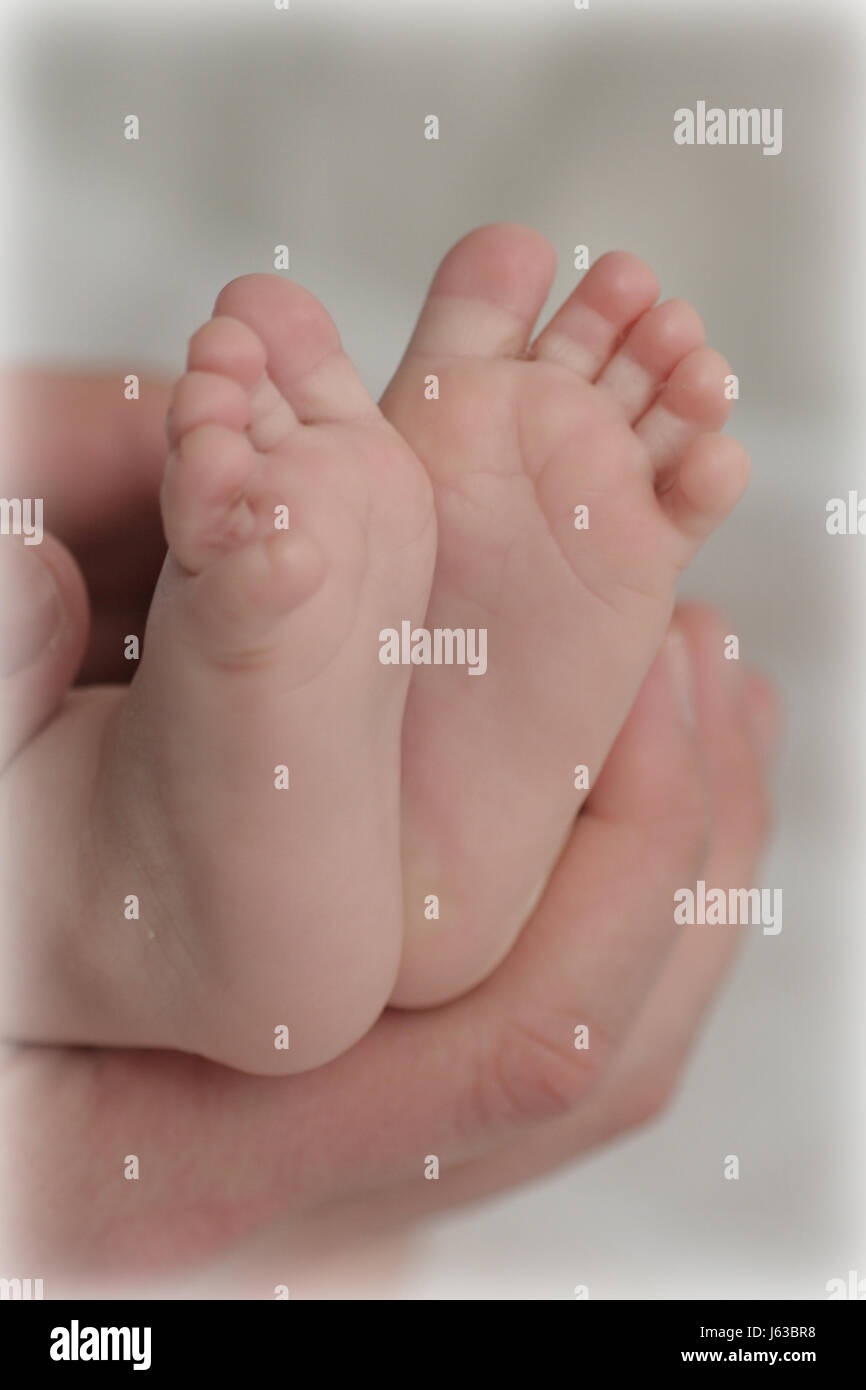 hand hands baby foot feet toes parents new born child hand hands baby ...