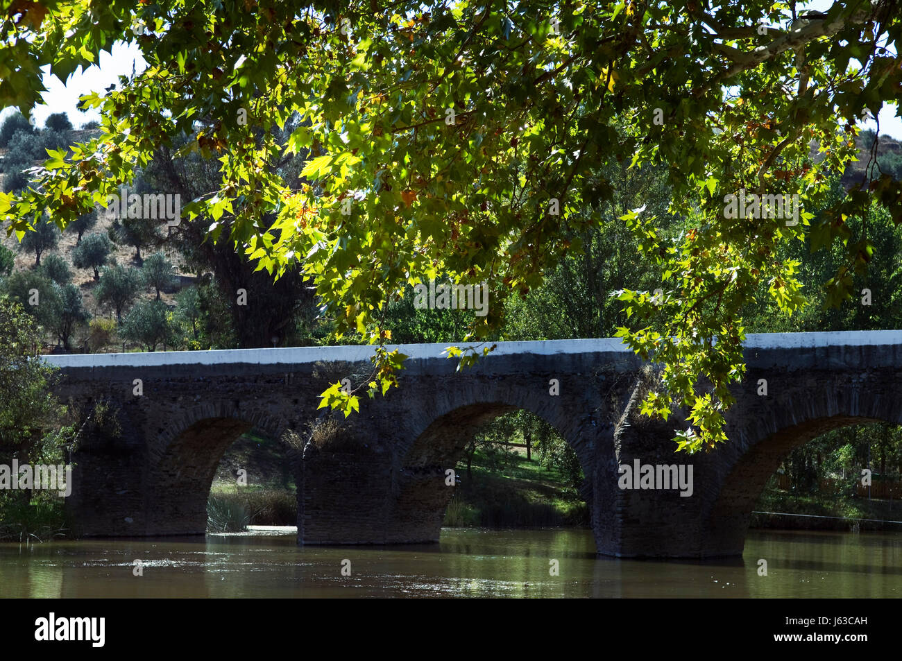 bridge arch ancient backlit river water bright leaf tree park stone ...