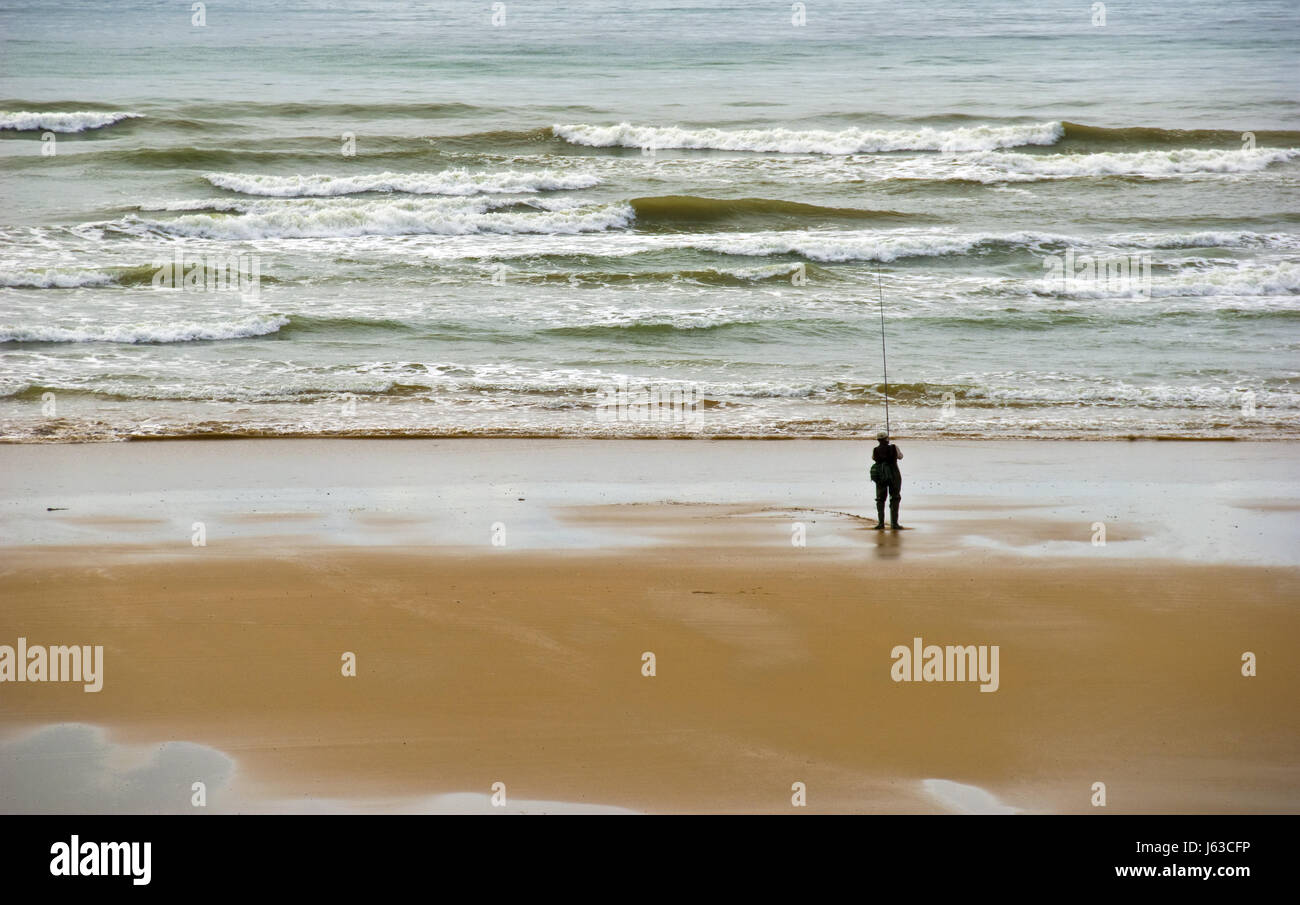 beach seaside the beach seashore angle fish atlantic ocean salt water ...