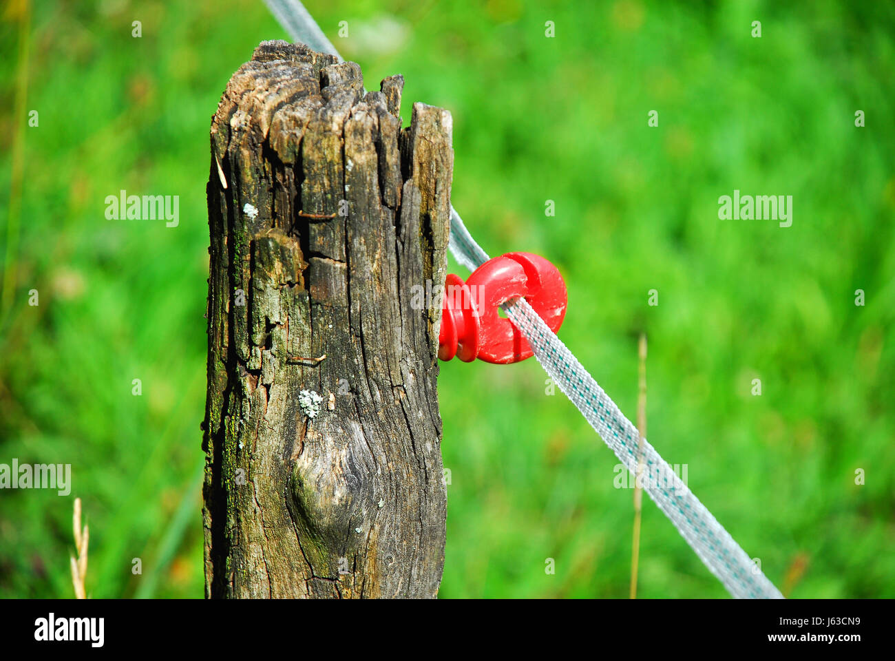 Elektrozune hi-res stock photography and images - Alamy