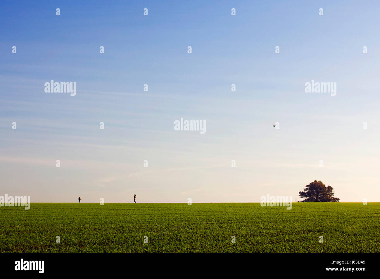 tourism saxony Dresden poplar scenery countryside nature fall autumn ...