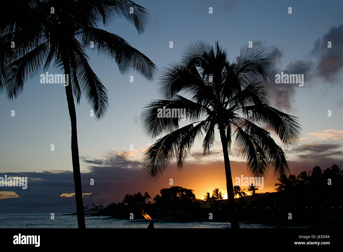 Torch trees silhouette hi-res stock photography and images - Alamy