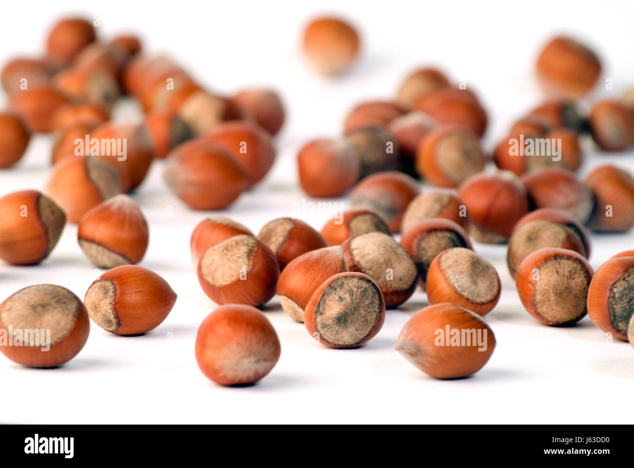 food aliment brown brownish brunette nuts nut filbert hazelnut close ...