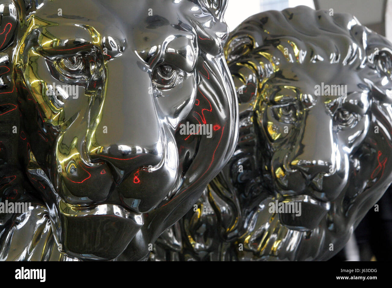 Silver lions hi-res stock photography and images - Alamy