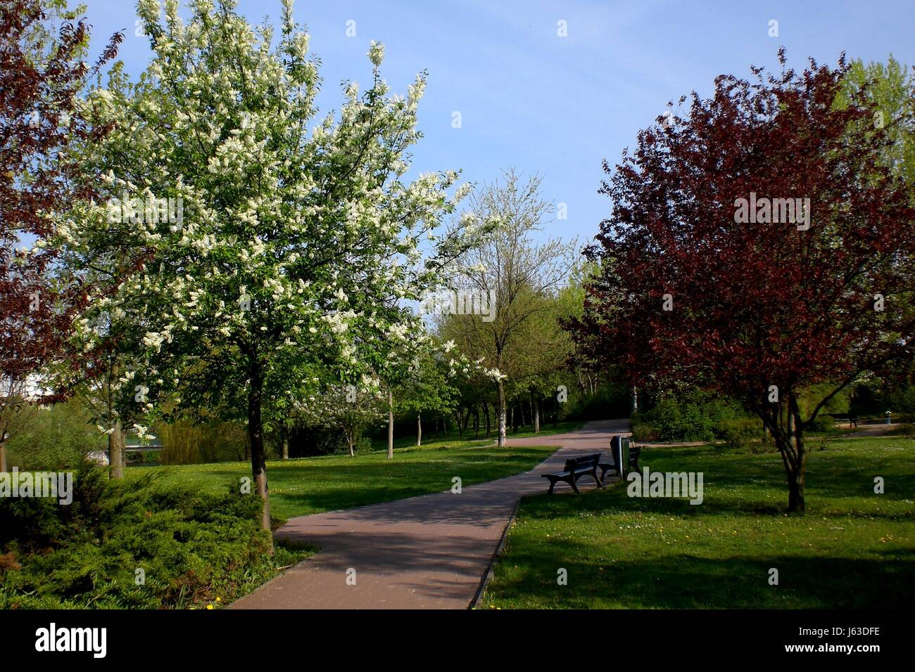 Concentric path hi-res stock photography and images - Alamy