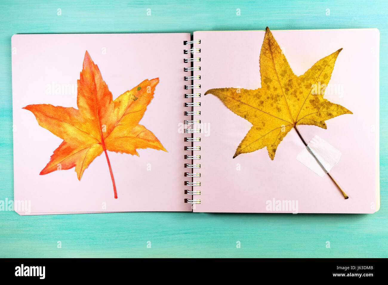 A spiral notebook with a dry maple leaf taped to one page, and a ...